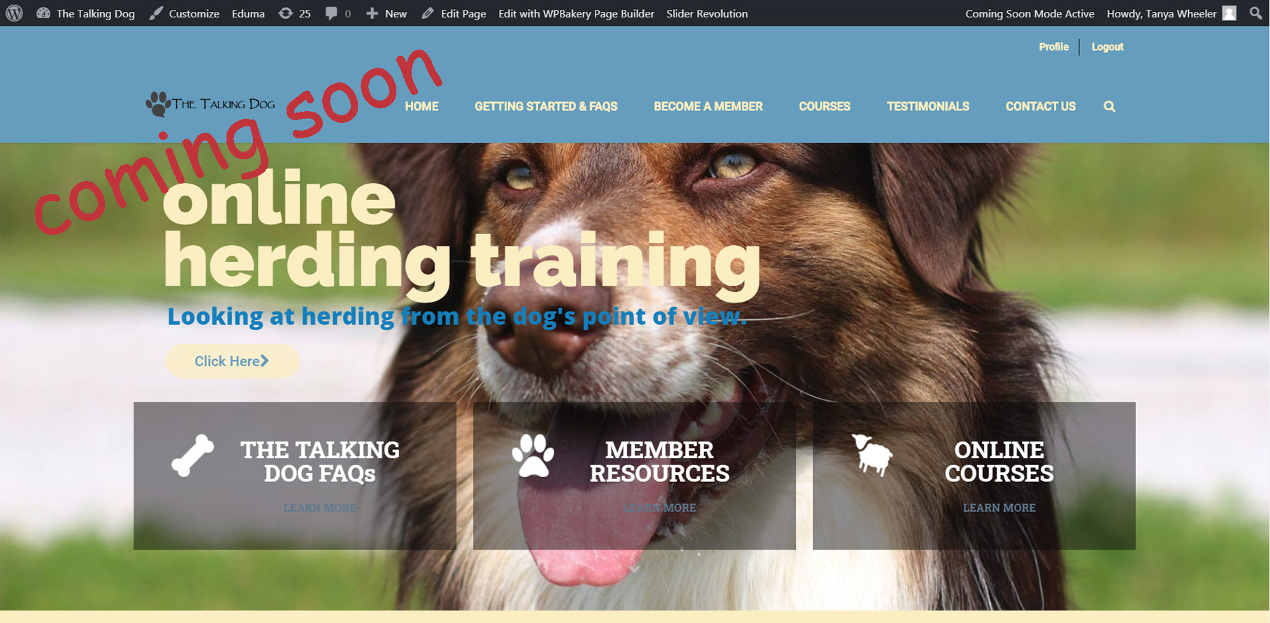 The-Talking-Dog-Coming-soon-1-copy.jpg